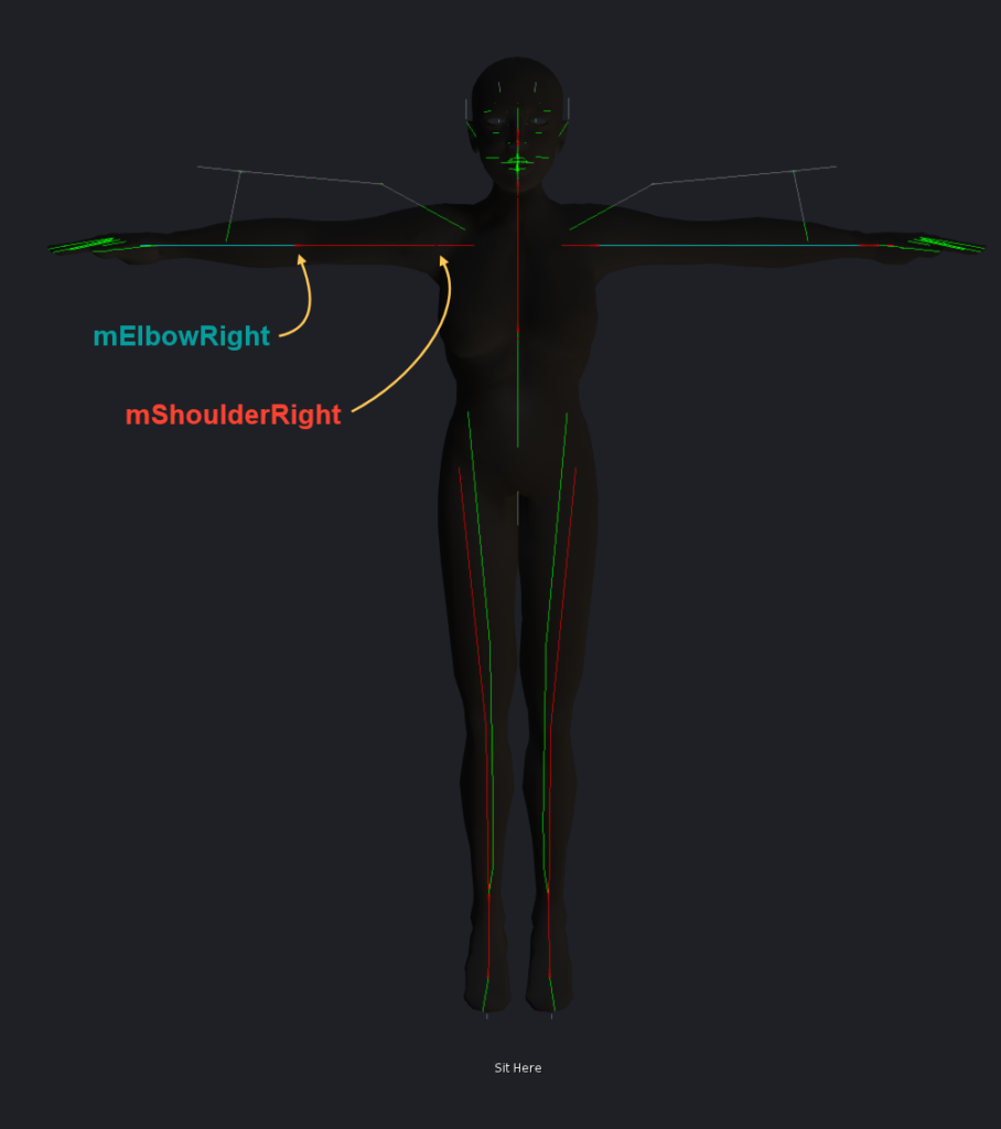 The SL Skeleton | Avalab