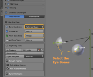 The Eye Rig | Avalab