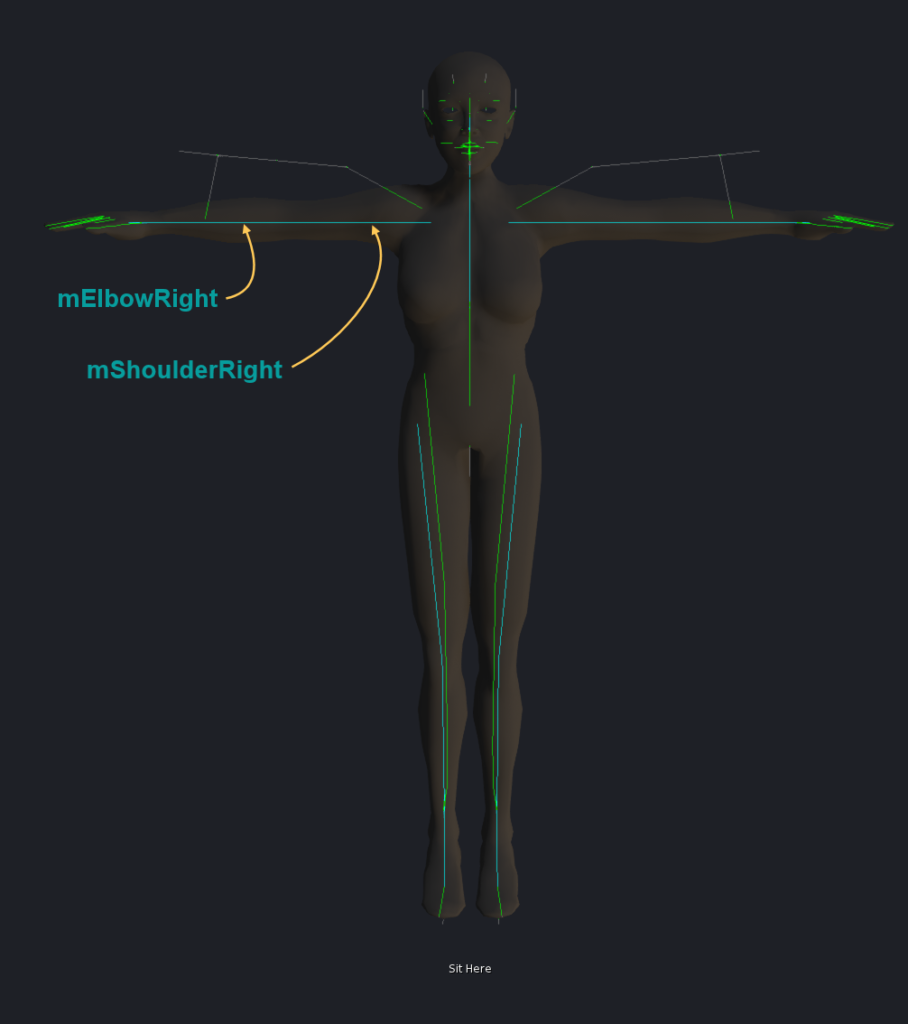Joint Positions Basics | Avalab